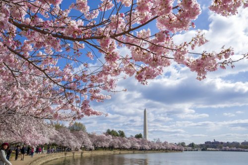 5 things to know about the spring weather forecast in the US | Flipboard