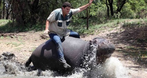 From Man-Eating Pigs To A Swarm Of Spiders, 9 Gruesome Stories Of ...