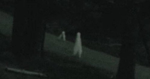 Meet The Fresno Nightcrawler, The Cryptid That Looks Like A Pair Of ...