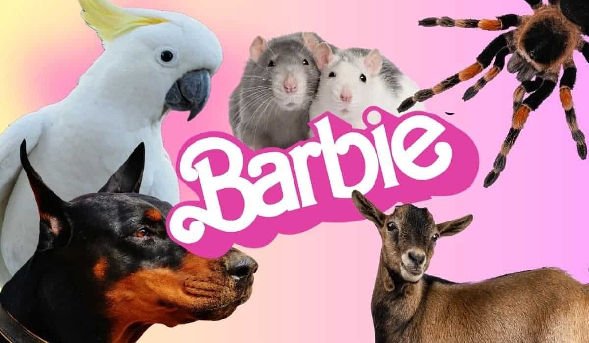 The Ultimate List of the Cast of Barbie’s Pets | Flipboard