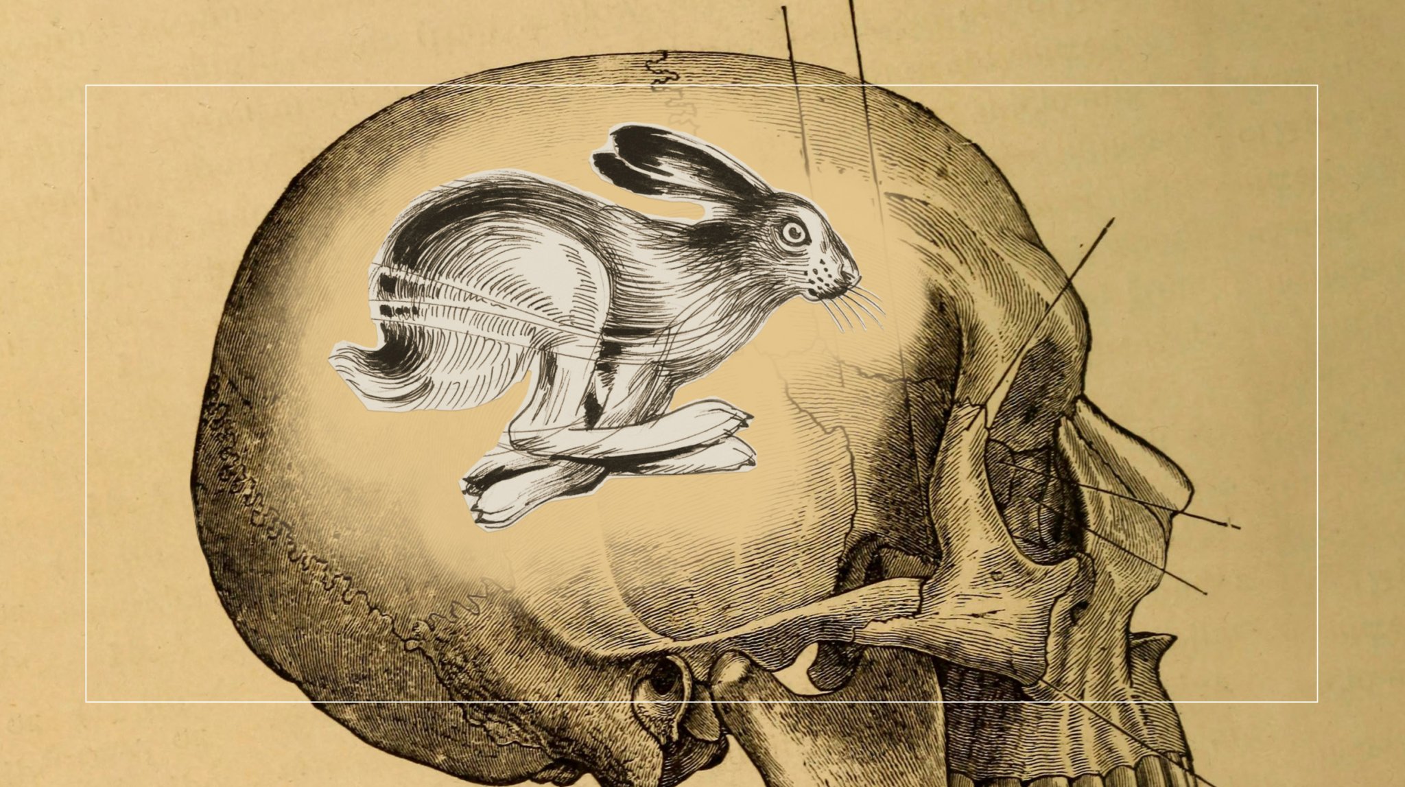 System 1 vs. System 2 thinking: why it's not always strategic to be ...