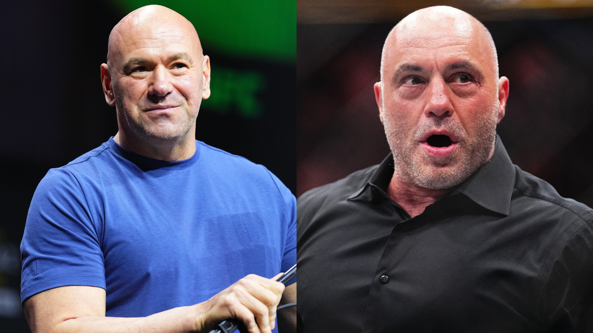 Joe Rogan criticizes Dana White, saying the UFC President needs to ...