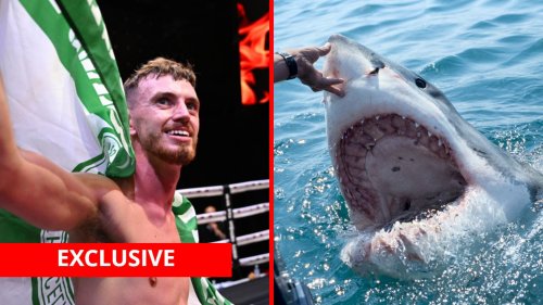 Boxing prospect survived ‘nearly getting eaten by a shark’ and overcame ...