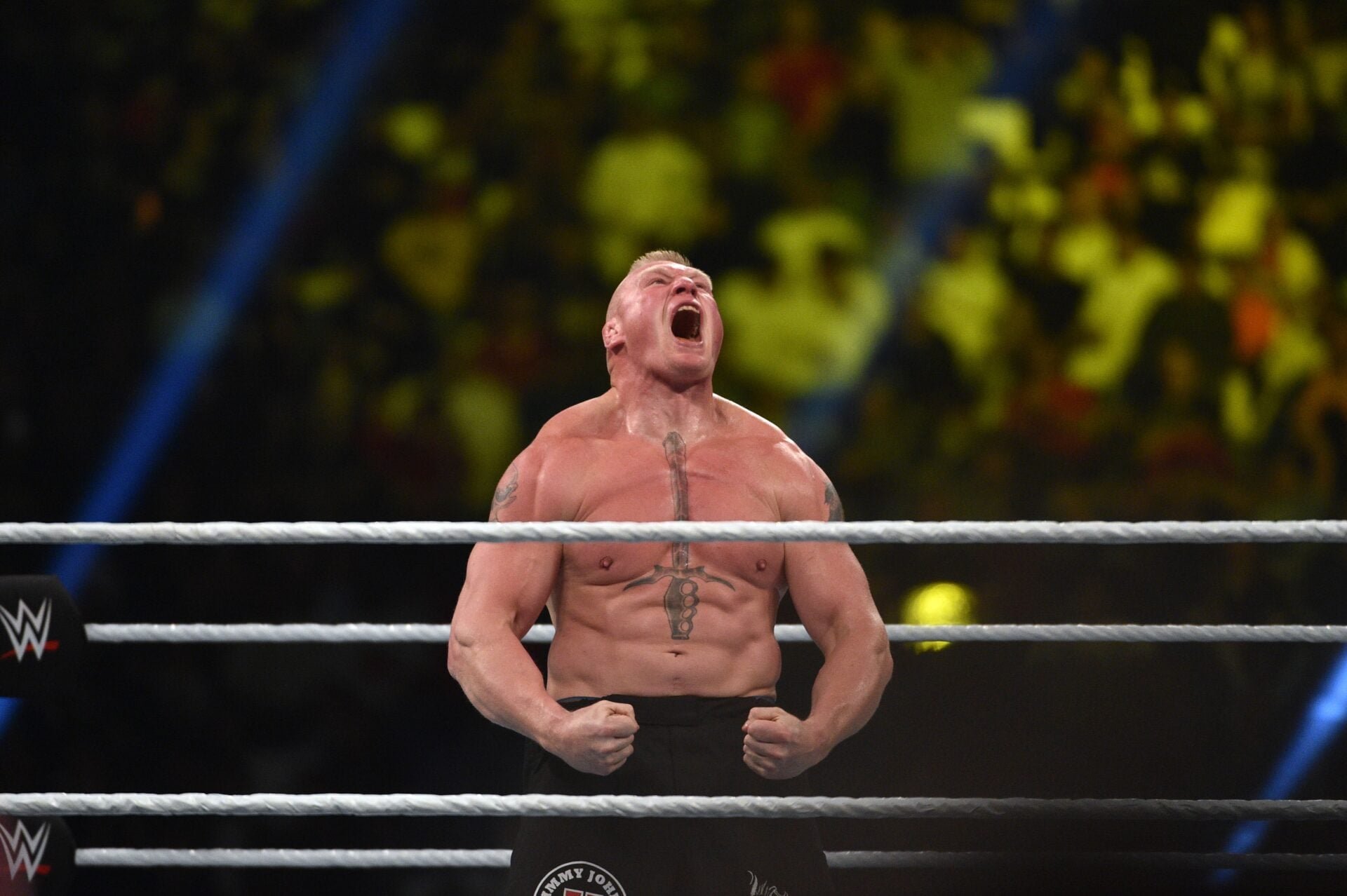 Brock Lesnar broke star's neck with steel chair shot | Flipboard