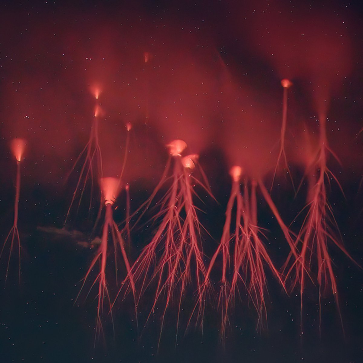 57 Incredibly Beautiful Pics Capturing Rare Natural Phenomena | Flipboard