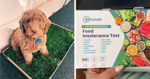 Remember These Shark Tank Pitches? They Turned Into 22 Massive Hits You ...