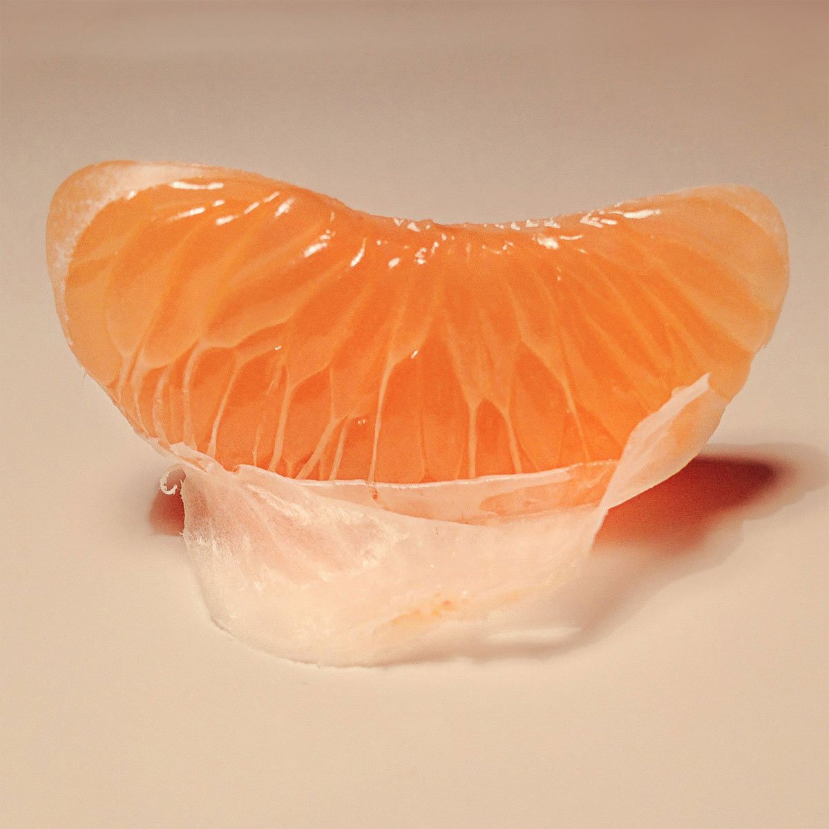 PHOTOGRAPHY BY BORED PANDA | @boredpanda | Flipboard