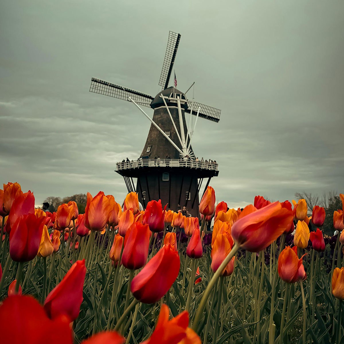 49 Delightfully Wholesome Facts That Feel Like A Hug | Flipboard