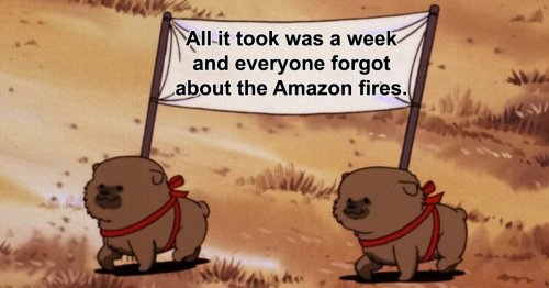 70 Of The Edgiest Environmental Memes For Those Aware That We Need To ...