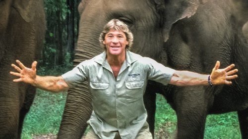 There Are Petitions To Print Steve Irwin On The $5 Note Instead Of King ...