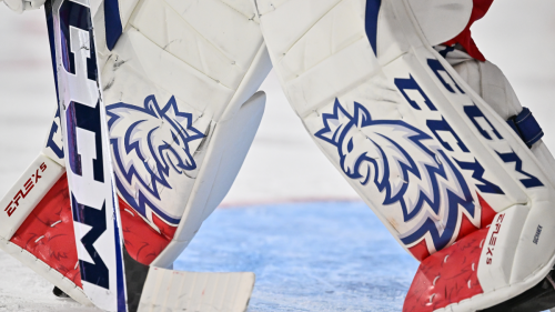 Hockey Goalie Turned Model Mikayla Demaiter Goes Viral After Showing ...