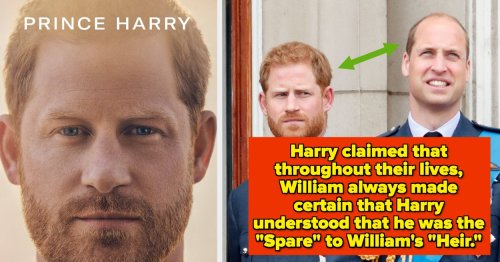 We Read All Of Prince Harrys New Memoir Spare And Here Are 37 Of