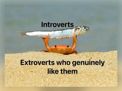 15 Memes That Show What Happens When An Extrovert Meets An Introvert ...