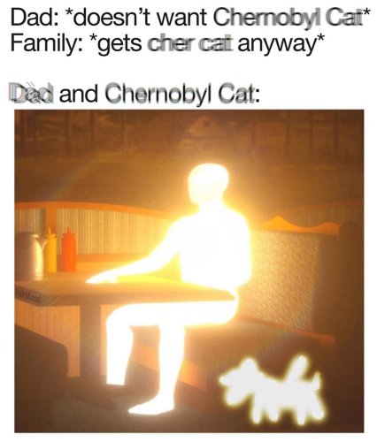 Memes To Peer Pressure Your Friends Into Looking At | Flipboard