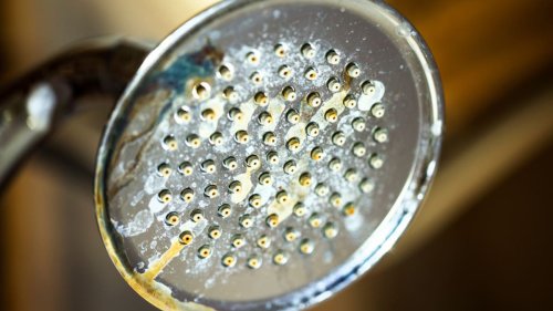 Here’s how to clean that crusty gunk off your shower head | Flipboard