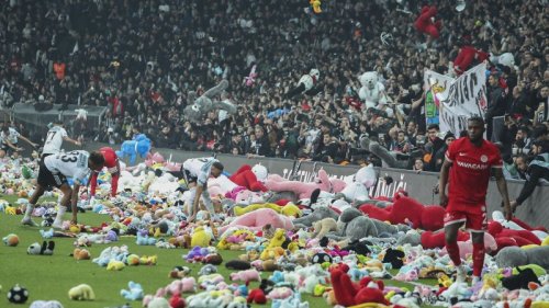 Turkish soccer fans throw stuffed animals on the field, vent ...