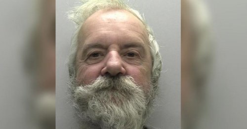 Magistrates Courts In Cornwall Sentence Cruel Dog Owners Couple Who magistrates-courts-in-cornwall-sentence-cruel-dog-owners-couple-who