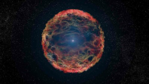 Red supergiant supernova gives astronomers new insights into the make ...