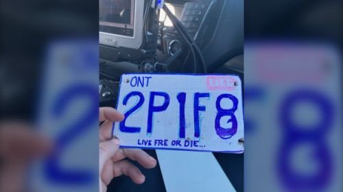 F For Spelling Kingston Police Discover Homemade Licence Plate On Motorcycle Flipboard