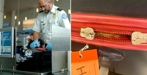 TSA Officer Shocked To Find Live Cat Stuck In Checked Luggage At JFK Airport PHOTOS Flipboard tsa-officer-shocked-to-find-live-cat-stuck-in-checked-luggage-at-jfk-airport-photos-flipboard