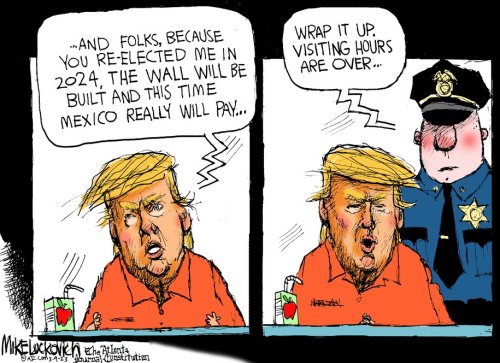 The First Criminal Indictment of a Former POTUS in Editorial Cartoons ...