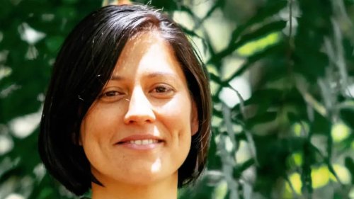EXCLUSIVETeacher Michelle Martin sues Cairns Rudolf Steiner School over ...