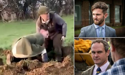 Disturbing footage shows moment fox is pulled out of the ground and ...