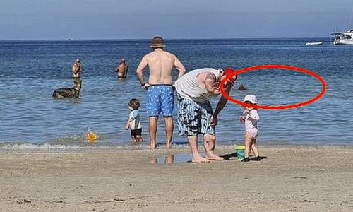 Hidden detail in family's innocent beach photo puts community at odds ...