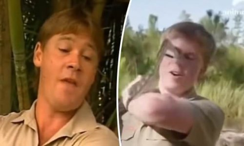 Horrifying moment Robert Irwin is viciously attacked by the same snake ...