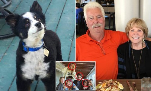 EXCLUSIVE: Woman who lives near scene of Idaho murders says her ...