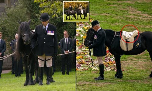The Queen's favourite pony Emma had one of Her Majesty's silk headscarves draped over her saddle ...