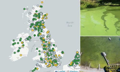 Is there deadly algae at a beauty spot near YOU? Interactive map ...