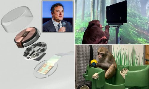 Group Seeks Release of 185 Autopsy Photos of Animals that Died During ...