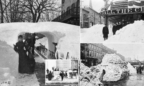 CT school had cleared Andie Rosafort of inappropriate contact with ...