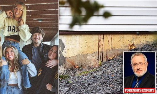 Blood-soaked Idaho crime scene where four students were brutally ...