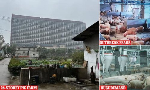 China’s 28 Story Pig Farm Skyscraper Set to Slaughter Over 1M Pigs Per ...
