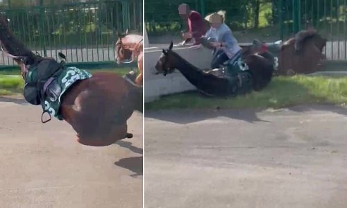 I was knocked out when two horses hit me at the Grand National - I'm ...