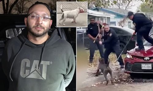 PICTURED: Pitbull owner, 31, arrested after his bloodthirsty dogs ...