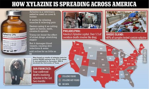 Everything you need to know about 'tranq dope', the flesh-rotting drug ...