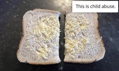 'This is deranged': Mother shares photo of 'sad' cheese sandwich her ...