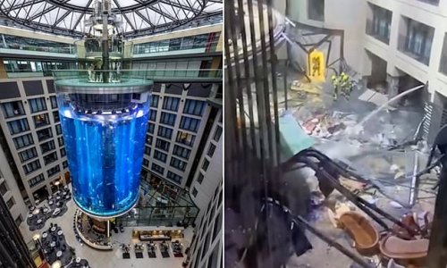 Aquarium 'tsunami' causes 'unbelievable maritime damage' as 82ft-high ...
