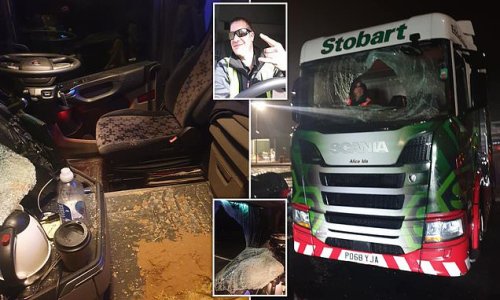 Gang of teenagers nearly kill lorry driver by hurling sandbag through ...