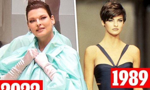 Back to work! Supermodel Linda Evangelista, 57, announces book with ...
