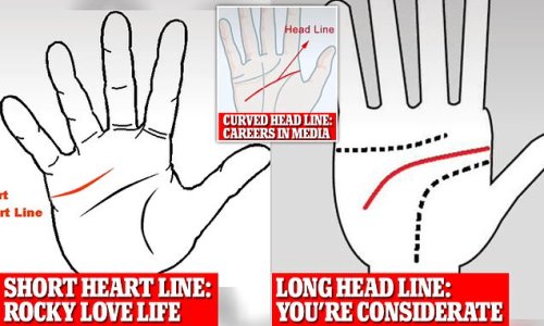 What your PALM LINES tell you about your life: Chinese culture expert ...