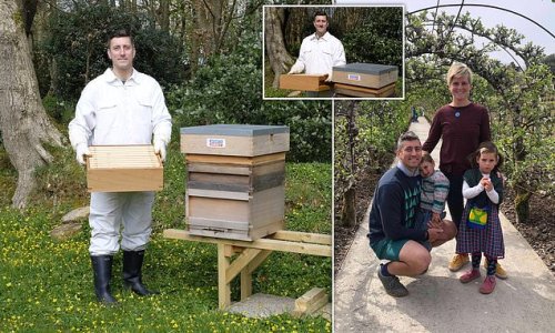 EXCLUSIVE Buzzing again! Beekeeper whose hives and 400,000 bees were ...