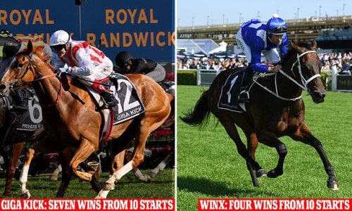 The incredible comeback story of how champion Aussie racehorse Giga ...