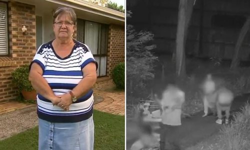 Shocking moment neighbourhood louts are caught on camera 'mooning' a ...