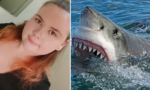 Great white shark attack victim's tragic final attempts to get help ...