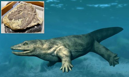 Meet Barbara: Skeleton of a PREGNANT T-rex that lived 66 million years ...