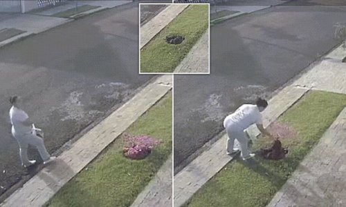 Caught Red Handed Watch As Moment Woman Rips An Entire Plant Out Of